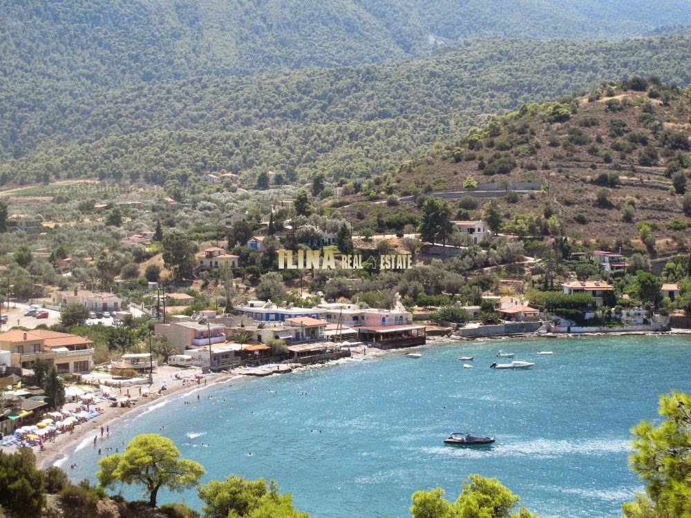 Lcitynews: ΣΥΜΒΑΙΝΕΙ ΤΩΡΑ.ΒΡΗΚΑΝ ΝΕΚΡΟ ΑΝΔΡΑ ΣΤΟ ΣΧΟΙΝΟ ΚΟΡΙΝΘΙΑΣ ...